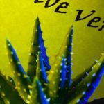 11 Proven Anti-Inflammatory Benefits of Aloe Vera & How to Use