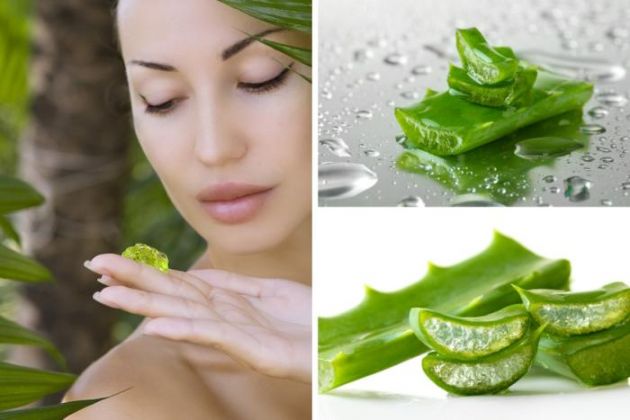 Aloe Vera Masks Benefits and How to Make Them