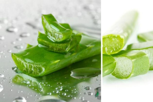 3 Proven Benefits of Aloe Vera for Constipation
