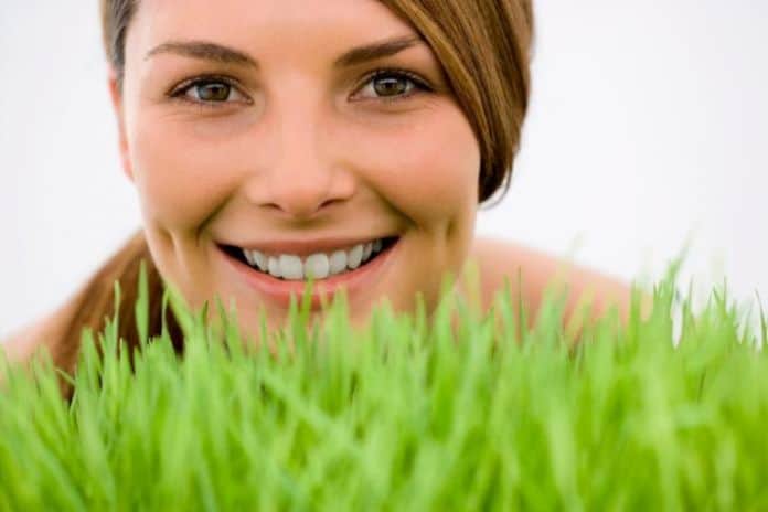 7 Ways Wheatgrass Benefits in Ulcerative Colitis