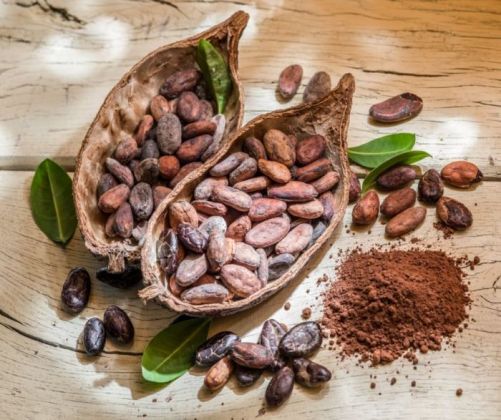 10 Benefits of Cocoa For Lowering Cholesterol