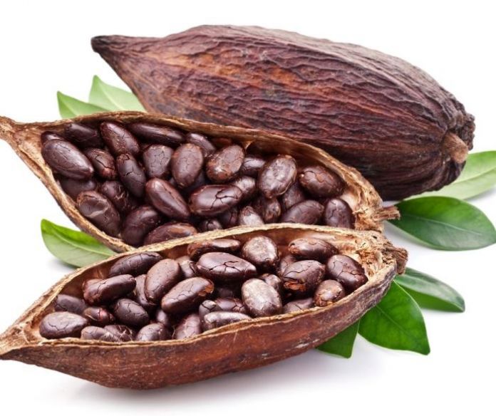 Benefits of Cocoa for Heart Health